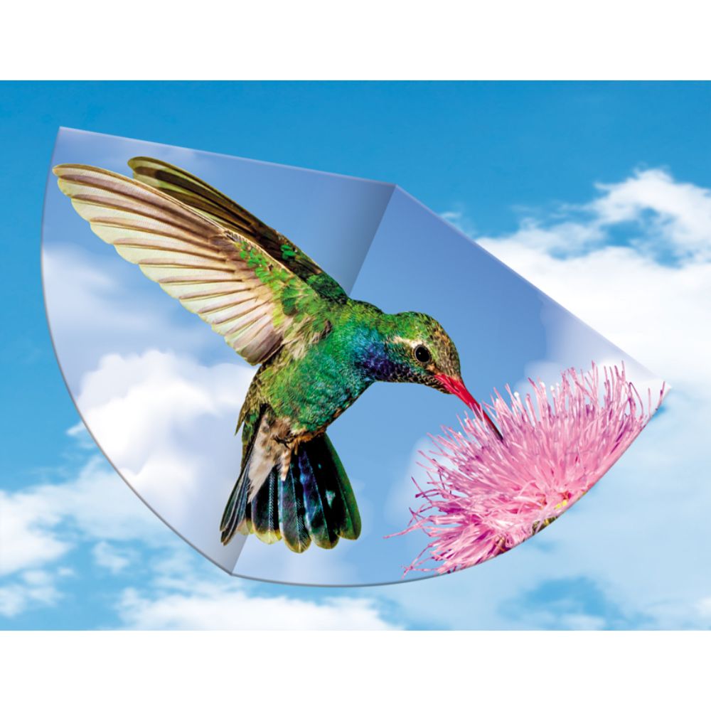 Gunther Children's Hummingbird Kite – Toymagic